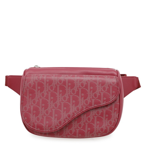 Dior | Bags | Christian Dior Galaxy World Tour Saddle Leather Body Bag ...